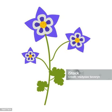 Aquilegia 꽃 플랫 아이콘 야생 화 흰색 배경에 고립 된 식물 벡터 그림 매발톱속에 대한 스톡 벡터 아트 및 기타 이미지 매발톱속 아이콘 꽃 나무 Istock