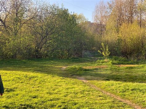 как использовать лето для вдохновения