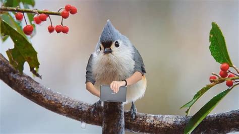 Någon Som Minns Den Här Lille Krabaten Edward Han är Tydligen Tillbaka Igen Även Om Edward