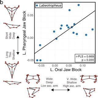 Two Block Partial Least Squares Analysis To Assess Microevolutionary Download Scientific