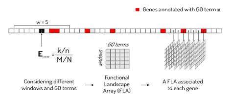 Local Enrichment Analysis And Functional Landscape Arrays K Is The