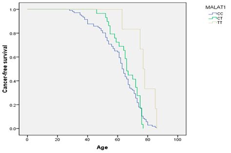 Long Non Coding RNA MALAT Gene Polymorphism Is Associated With Disease Free Survival In Bladder