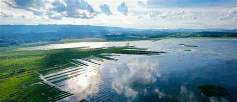 威宁草海 “明珠”璀璨 生态 海北 保护