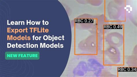 Datature On Linkedin Learn How To Export Tflite Models For Object Detection Models