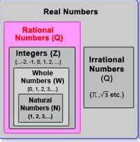 Difference Between Real Number And Integer Real Number Vs Integer