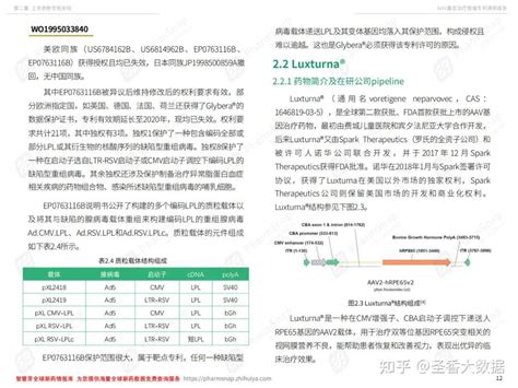 42页aav基因治疗领域专利调研报告（附下载） 知乎