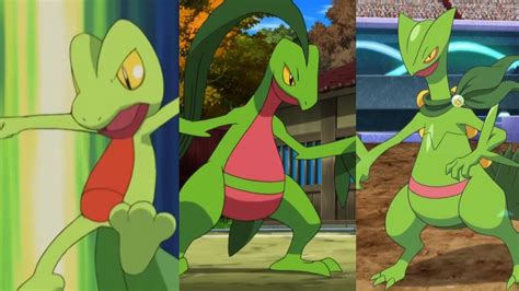 Pokemon Grovyle Evolution