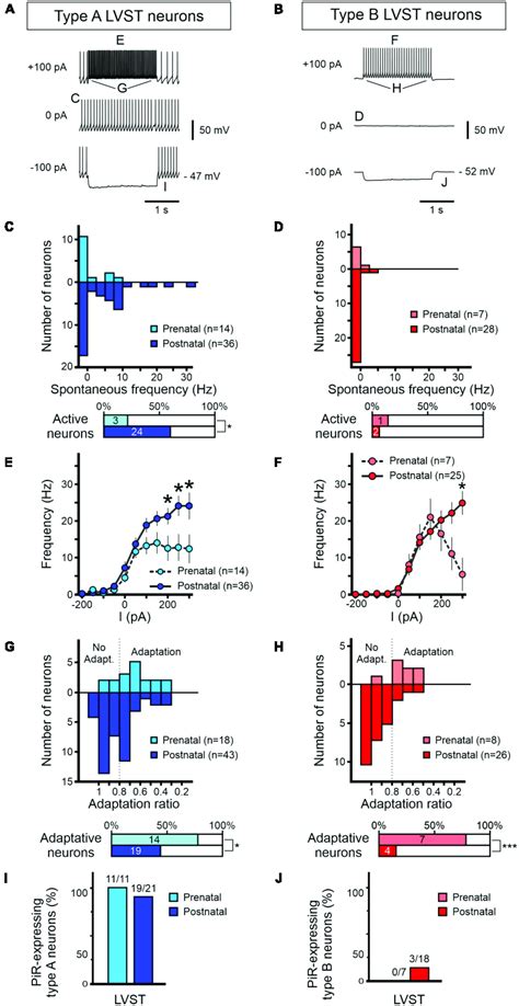 Development Of Excitability Properties Of Lvst Vestibular Neurons Download Scientific Diagram