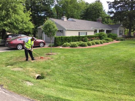 Team Work Photos West Bloomfield Tree Service Removal