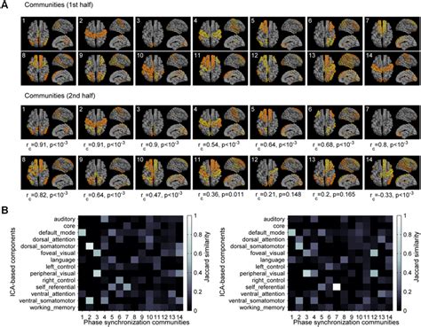 Topology Of The Synchronization Communities A Spatial Organization Of Download Scientific