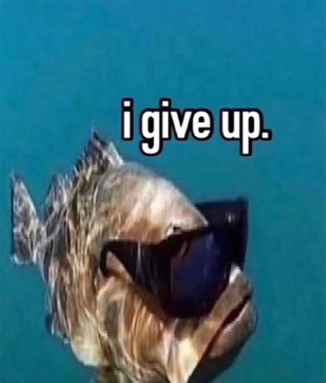 Im Losing My Mind Lose My Mind Silly Images Funny Images Funny