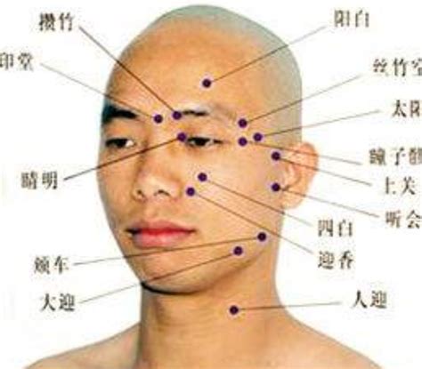 阳白的准确位置图片 人中的准确位置图片 承泣的准确位置图片 大山谷图库