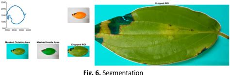 Figure 1 From Betel Leaf Diseases Classification Using Machine Learning Algorithm A Feasible