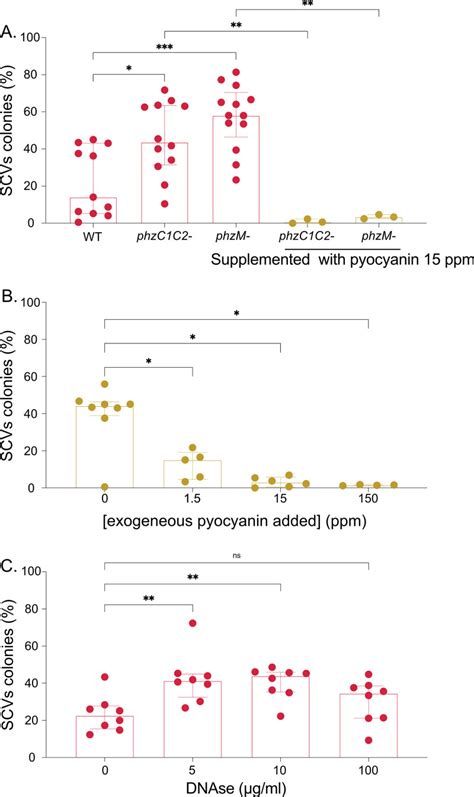 Emergence Of Small Colony Variants Is An Adaptive Strategy Used By Pseudomonas Aeruginosa To