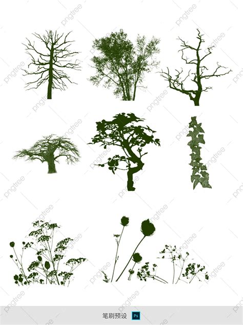 Plant Tree Brush Template Download On Pngtree