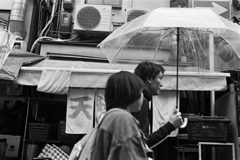 The Kokoro Files Matt Schley