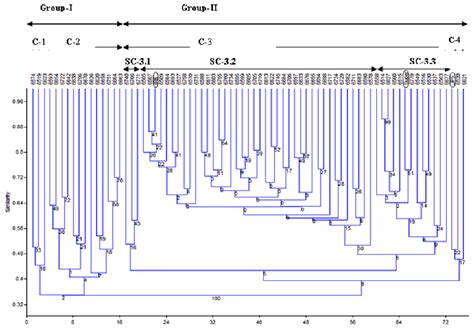 UPGMA Cluster Analysis Showing The Diversity And Relationship Among Download Scientific