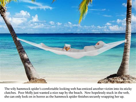 The Hammock Spider By Paulm131 On Deviantart