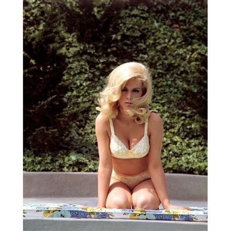 Stella Stevens In Yellow Summer Look Rare Blonde Bombshell 24x36