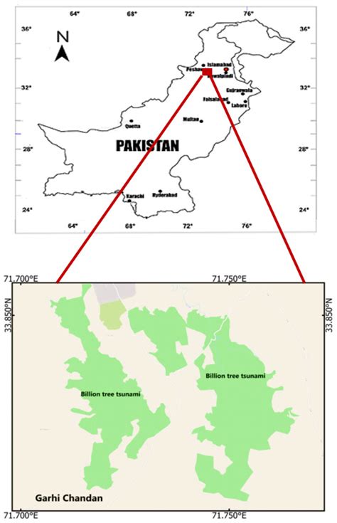 Ijgi Free Full Text Billion Tree Tsunami Forests Classification Using Image Fusion Technique