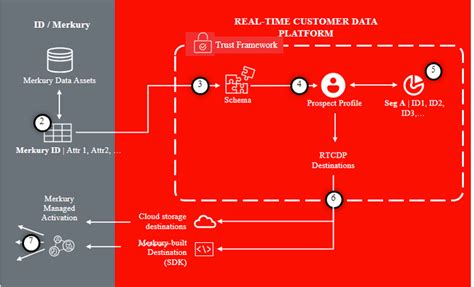 Merkury Enterprise Identity Destination Adobe Experience Platform