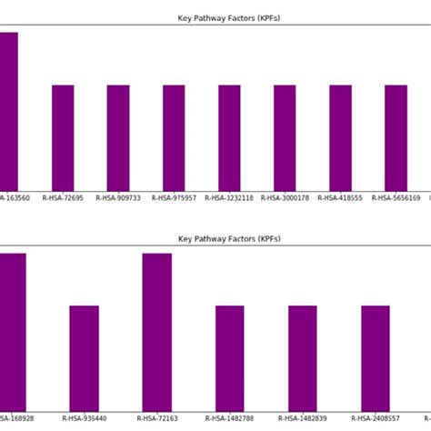 Identified Key Input Factors Kifs X Axis Shows The Names Of Input