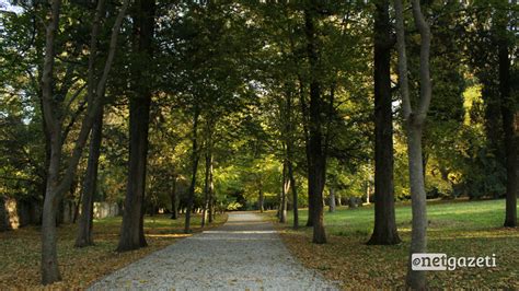 შემოდგომა წინანდლის ბაღში [ფოტო] • გარემო • ფოტო • Netgazeti Ge