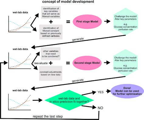 Schematic Outline Of The Monod Model Process Development Strategy Download Scientific Diagram
