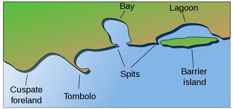 Reading Shorelines Geology