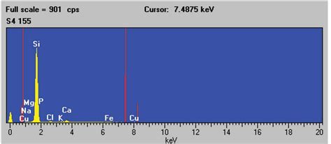 D Graph Of Sem Edax Spectra Of The Rendering Layer Upon