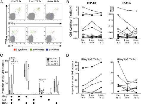 Polyfunctional M Tuberculosis Specific Cd8 T Cell Responses Increase Download Scientific