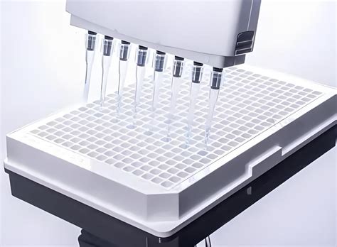 What Is A Plate Count In Microbiology Lab Testing Guide