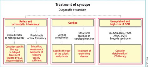 Syncope Cardio Guide
