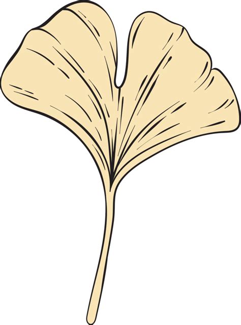 Rustic Leaf Autumn Floral 45353006 Png