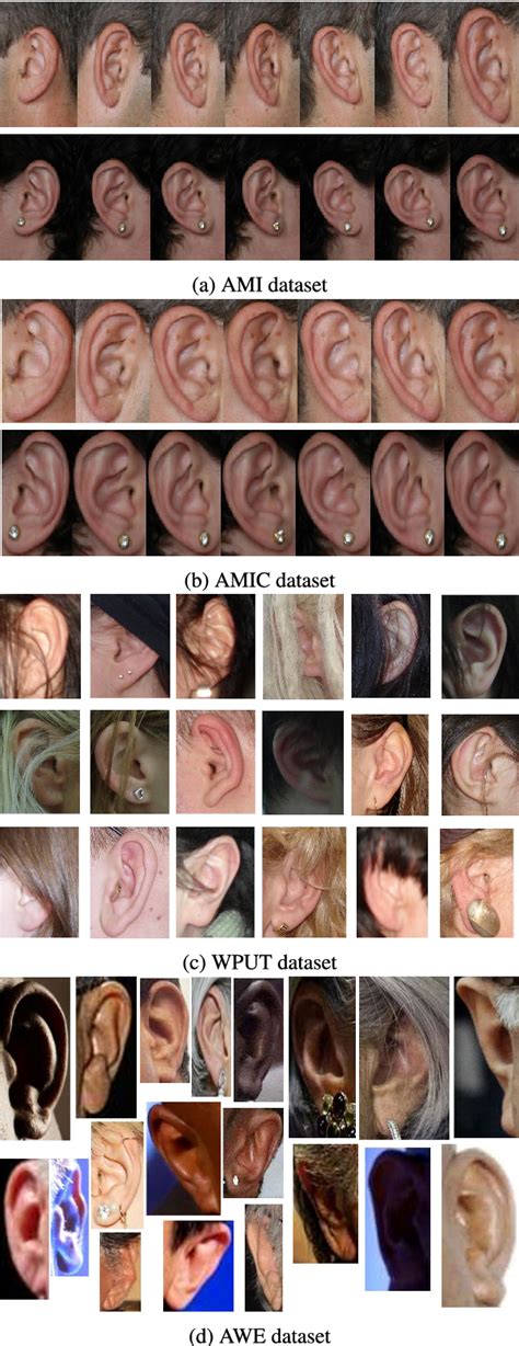 figure 1 from towards explainable ear recognition systems using deep