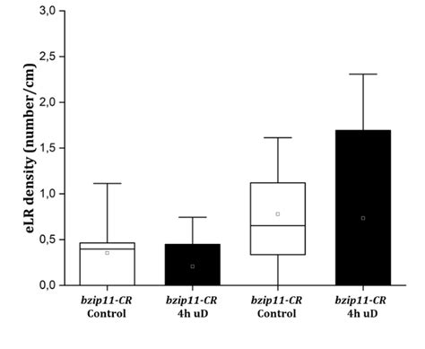 Single Loss Of Function Mutants Of Group S 1 Bzip Tf Do Not Display Download Scientific Diagram