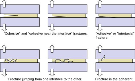Adhesive New World Encyclopedia