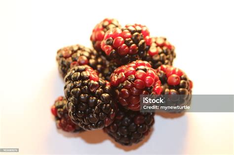 성숙의 다양 한 각도에서 흰색 바탕에 검은 딸기 익은 블랙베리 그들에 게 매우 좋은 맛을가지고 0명에 대한 스톡 사진 및 기타 이미지 Istock