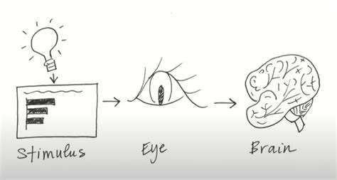 Revolutionize Your Data Storytelling Insights From Cole Nussbaumer