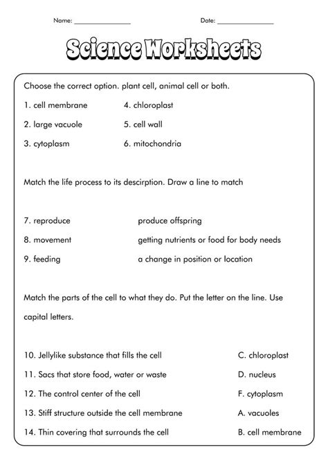 18 7th Grade Science Cells Worksheets Science Cells 7th Grade Science Cells Worksheet