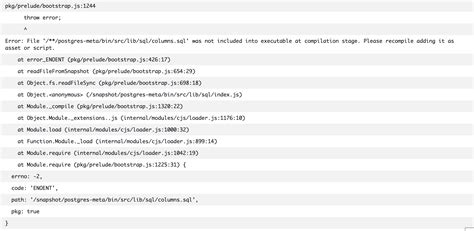 File Was Not Included Into Executable At Compilation Stage · Issue 95 · Supabasepostgres Meta