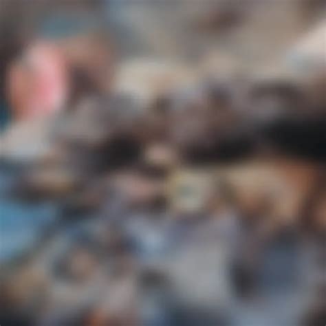 Exploring The Applications And Impact Of Spectroscopy