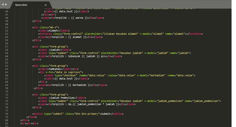 FORM DAN FILTERING DI VUE JS