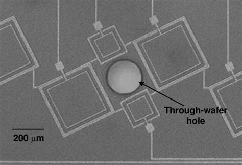 Top View Of One Element In A Array P N Type PD Array With Download Scientific Diagram