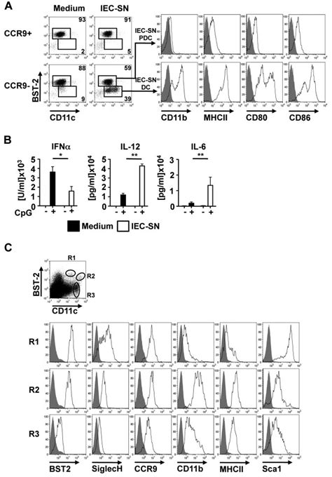 Generation Of Cd11b Mhcii High Cdc Like Cells From Ccr9 Mhcii Low Pdcs Download Scientific