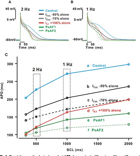 Figure 3 From The Contribution Of Ionic Currents To Rate Dependent