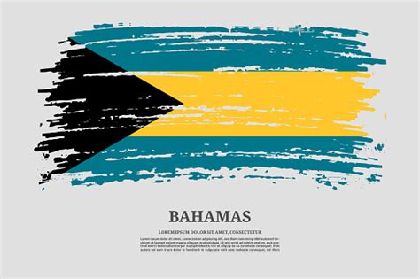 브러시 스트로크 효과와 정보 텍스트 포스터 벡터와 바하마 플래그 바하마에 대한 스톡 벡터 아트 및 기타 이미지 바하마 0명 검은색 Istock