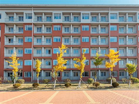 2024华南师范大学各学科排名？华南师范大学学科评估一览表 大考100