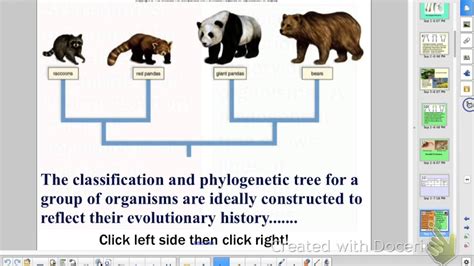Ap Bio Ch 19 P1 Systematic Biology Classification Youtube Ap Bio Ch 19 P1 Systematic Biology Classification Youtube