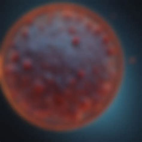 Cd24 And Siglec 10 Key Players In Immune Regulation